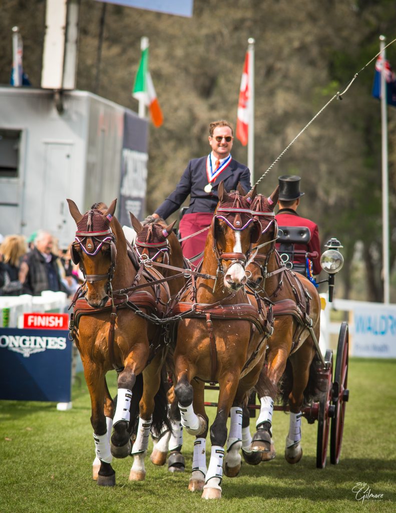 RevitaVet’s Infrared Therapy is in Chester Weber’s Toolbox for Pain Ma ...