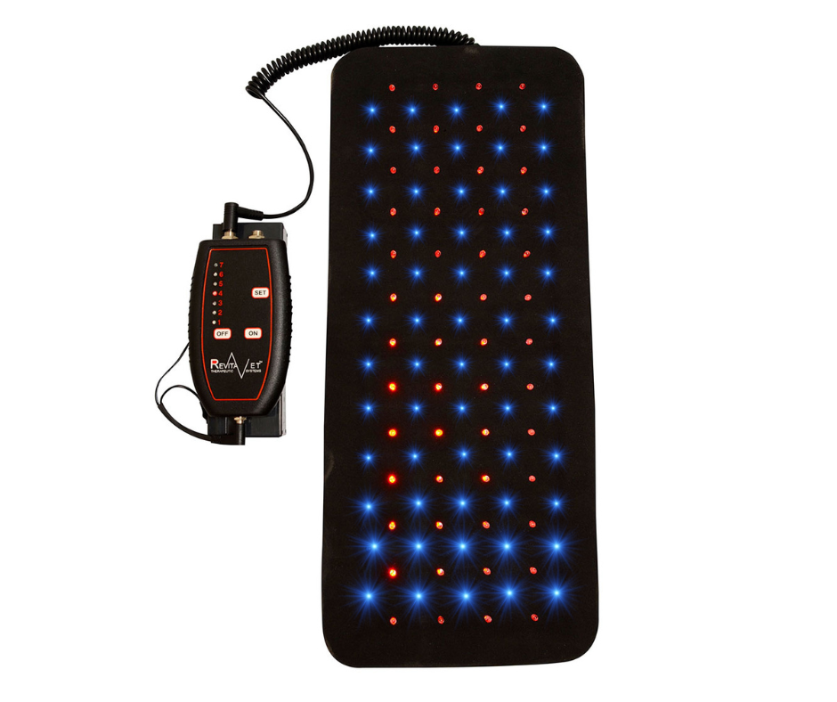 RevitaVet Back Pad Complete – Shop-RevitaVet