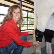 Hock Saver Set – Shop-RevitaVet